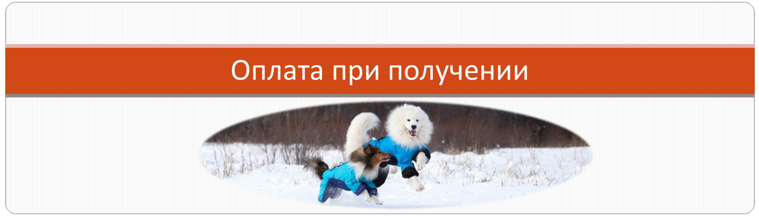 Купить одежду для собак мелких пород, средних пород, крупных пород с ...