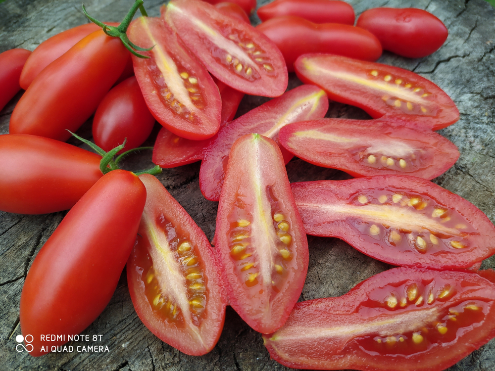 Тегусигальпа (Tegucigalpa) сорт томата – купить за 70 ₽ | Freshtomat.ru