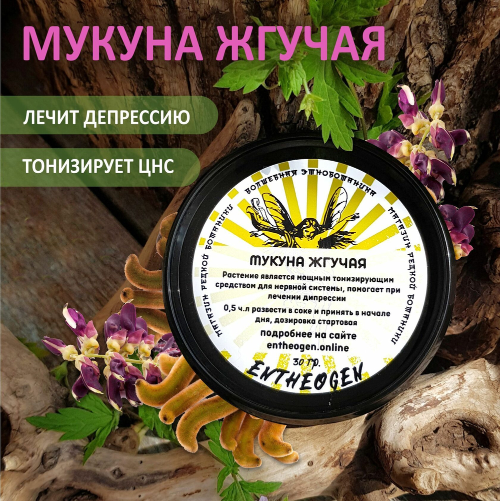 Мукуна Жгучая экстракт 25% L-DOPA, Капикаччу (Mukuna Pruriens, Kapikachhu)
