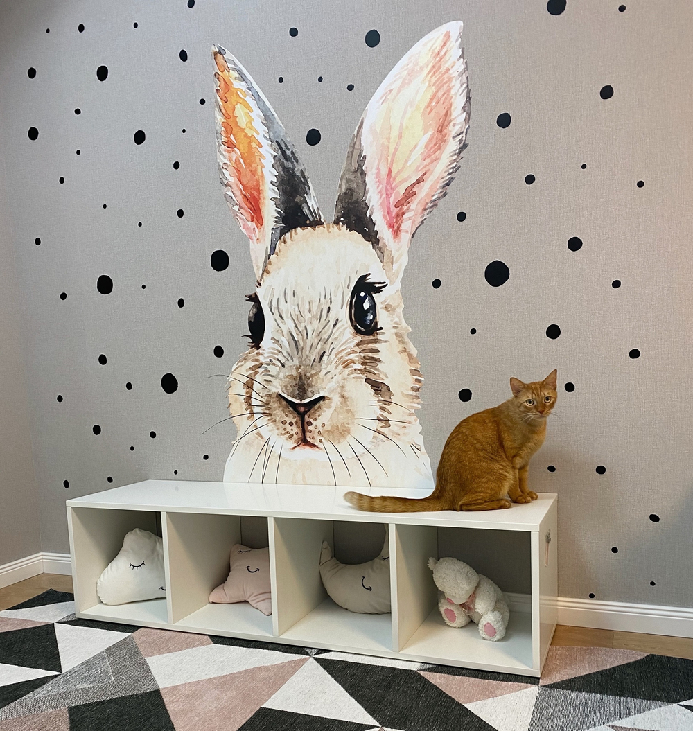 Наклейка ЗАЯЦ | Bumashka shop