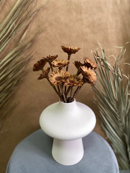 Экзотические сухоцветы – купить в магазине | Dried Flowers Moscow