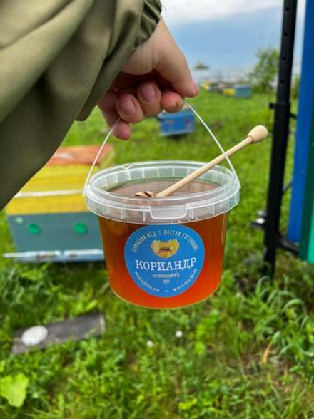 Пасека Гатуповых