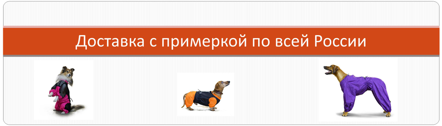Купить одежду для собак мелких пород, средних пород, крупных пород с ...
