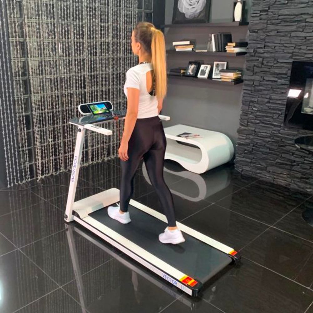 EVO FITNESS Vector II – купить за 29990 руб | Omegagym.ru