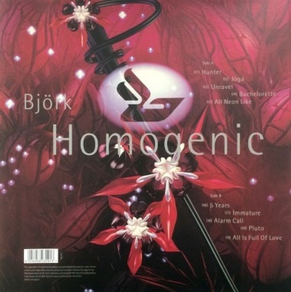 Bjork Homogenic