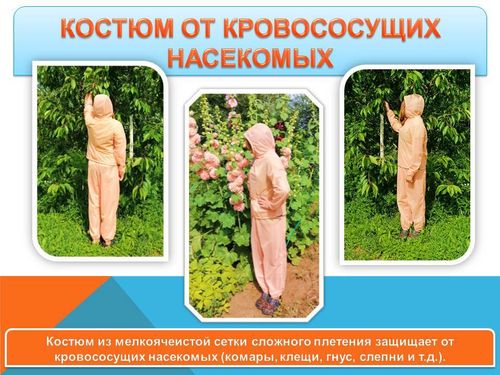 Купить одежду для собак мелких пород, средних пород, крупных пород с ...